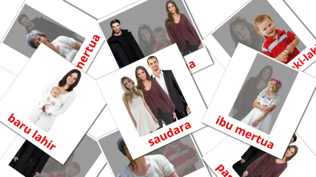 1300+ FREE Indonesian Flashcards | PDF | Picture Vocabulary