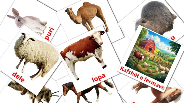15 Flashcard GRATUITE sui Animali da fattoria in 4 Formati PDF ...