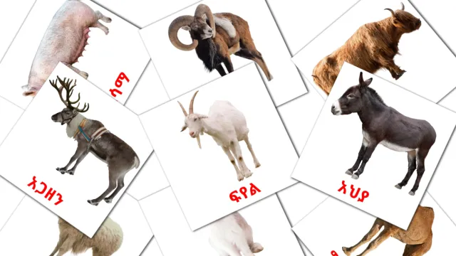 15 Tarjetas de Aprendizaje de Animales en la Granja GRATIS en PDF ...