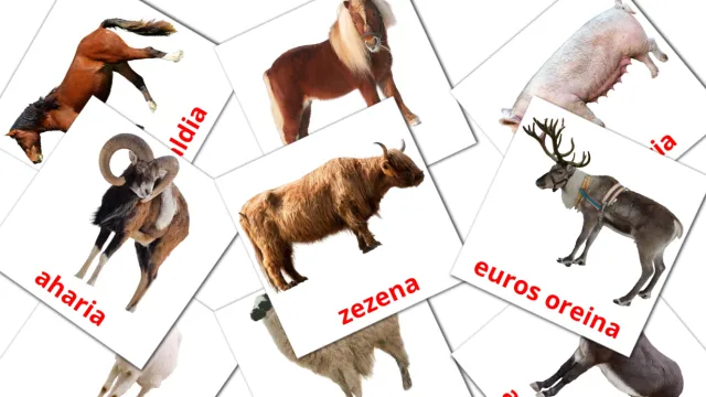 1300+ FREE Basque Flashcards | PDF | Picture Vocabulary