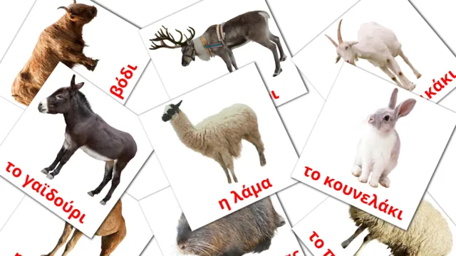 10 FREE Domestic animals Flashcards | PDF | Greek Words