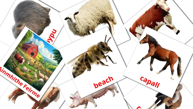 1300+ FREE Irish Flashcards | PDF | Picture Vocabulary