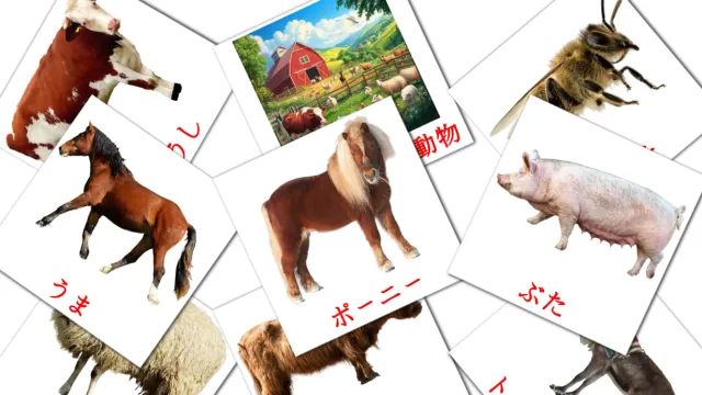 1300+ FREE Japanese Flashcards | PDF | Picture Vocabulary