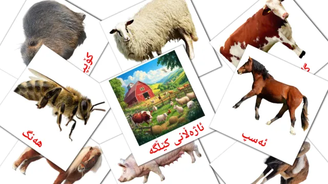 1300+ FREE Kurdish(sorani) Flashcards | PDF | Picture Vocabulary
