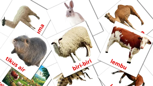 1300+ FREE Malay Flashcards | PDF | Picture Vocabulary