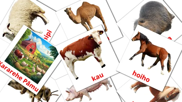 1300+ FREE Maori Flashcards | PDF | Picture Vocabulary