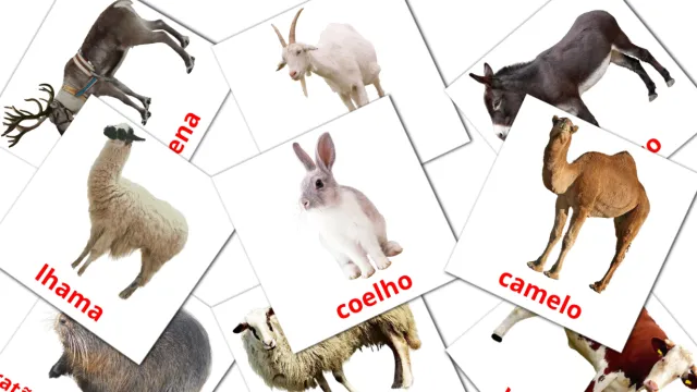 1300+ FREE Portuguese Flashcards | PDF | Picture Vocabulary