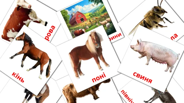1300+ FREE Ukrainian Flashcards | PDF | Picture Vocabulary