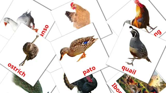 1300+ FREE Filipino Flashcards | PDF | Picture Vocabulary