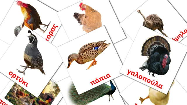 1300+ FREE Greek Flashcards | PDF | Picture Vocabulary