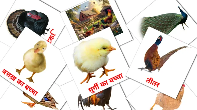 1300+ FREE Hindi Flashcards | PDF | Picture Vocabulary