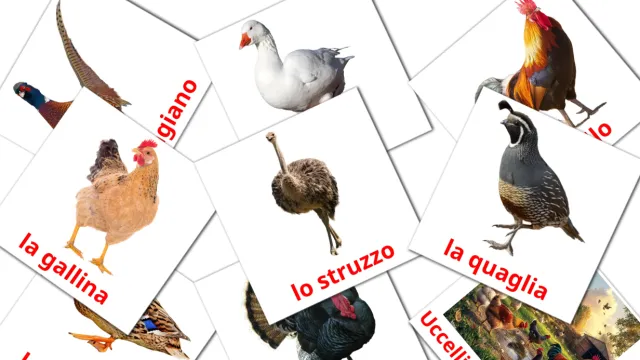 1300+ FREE Italian Flashcards | PDF | Picture Vocabulary