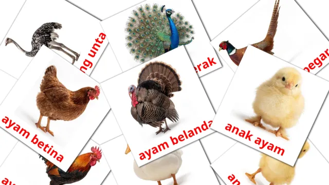 1300+ FREE Malay Flashcards | PDF | Picture Vocabulary