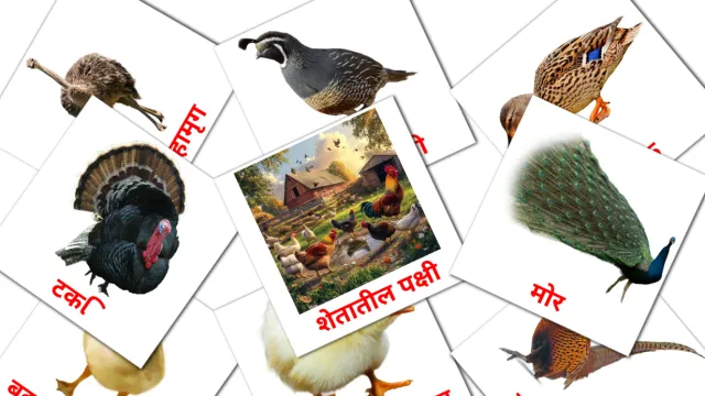 1300+ FREE Marathi Flashcards | PDF | Picture Vocabulary