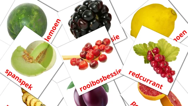 1300+ FREE Afrikaans Flashcards | PDF | Picture Vocabulary