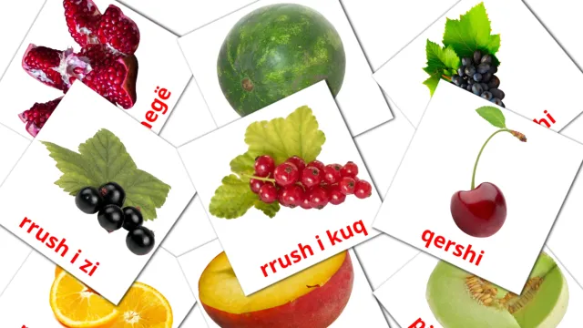 1300+ FREE Albanian Flashcards | PDF | Picture Vocabulary