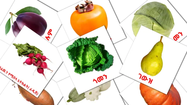 1300+ FREE Amharic Flashcards | PDF | Picture Vocabulary