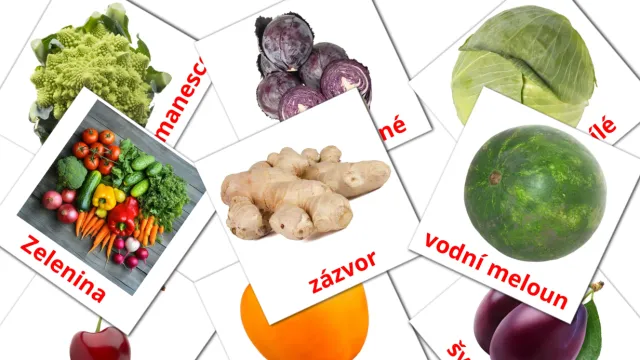 1300+ FREE Czech Flashcards | PDF | Picture Vocabulary
