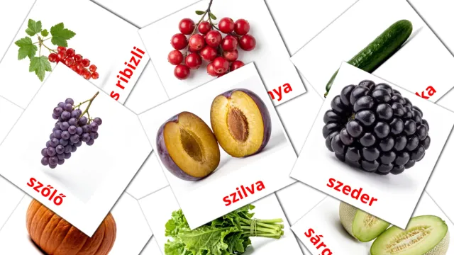 1300+ FREE Hungarian Flashcards | PDF | Picture Vocabulary