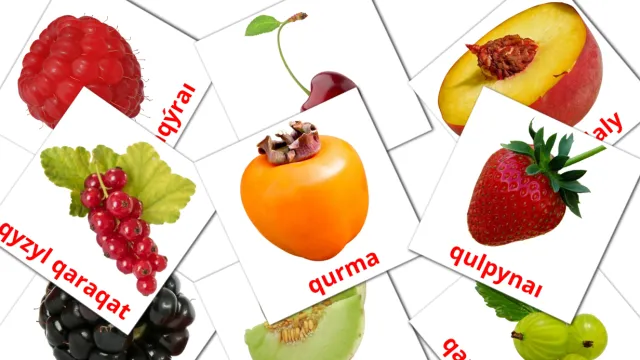 1300+ FREE Kazakh(latin) Flashcards | PDF | Picture Vocabulary