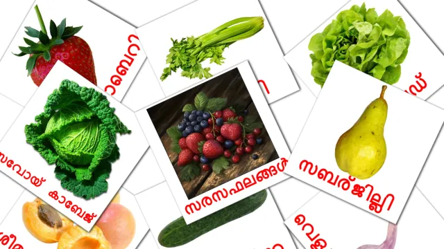 1300+ FREE Malayalam Flashcards | PDF | Picture Vocabulary