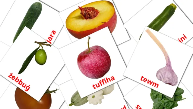 1300+ FREE Maltese Flashcards | PDF | Picture Vocabulary