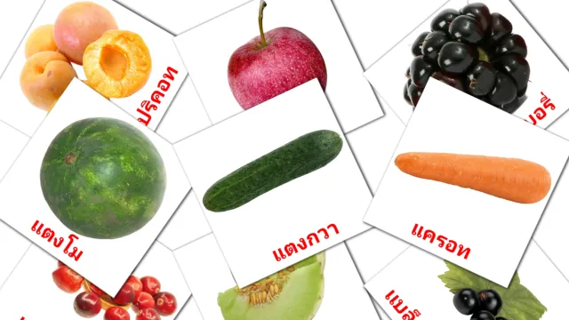 1300+ FREE Thai Flashcards | PDF | Picture Vocabulary