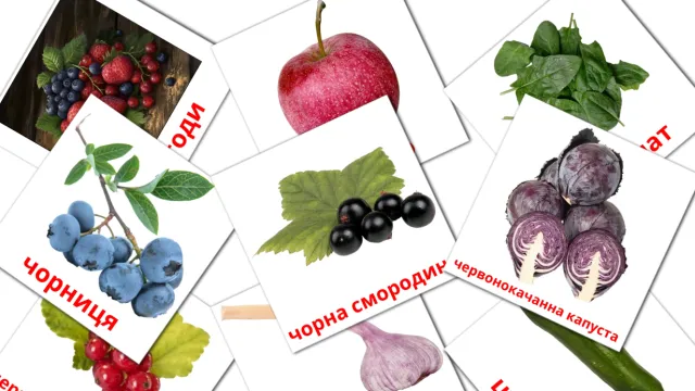 1300+ FREE Ukrainian Flashcards | PDF | Picture Vocabulary
