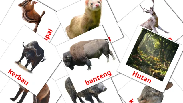 1300+ FREE Indonesian Flashcards | PDF | Picture Vocabulary