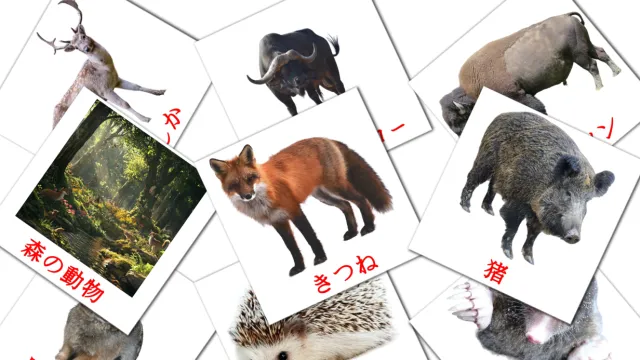 1300+ FREE Japanese Flashcards | PDF | Picture Vocabulary