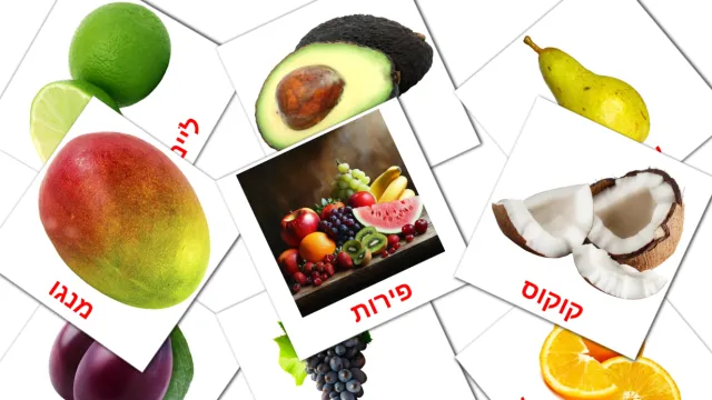 1300+ FREE Hebrew Flashcards | PDF | Picture Vocabulary