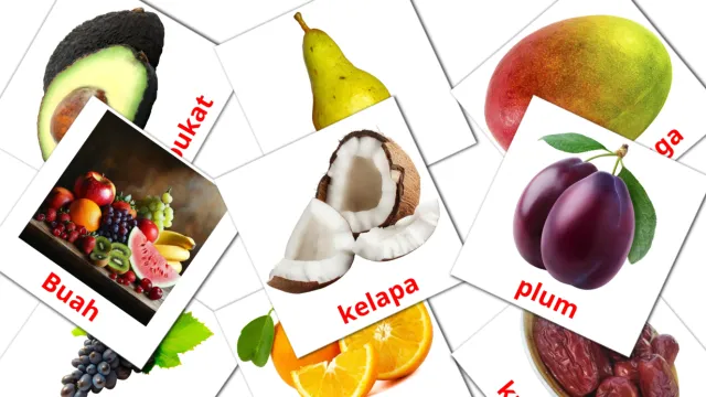 1300+ FREE Indonesian Flashcards | PDF | Picture Vocabulary