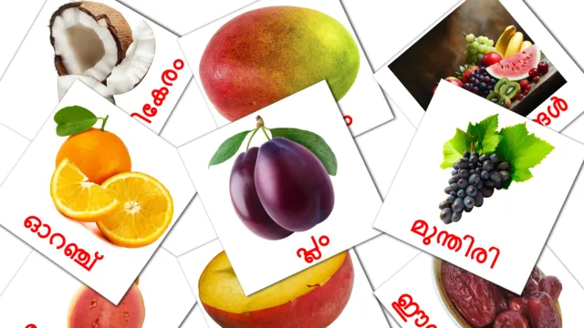 1300+ FREE Malayalam Flashcards | PDF | Picture Vocabulary