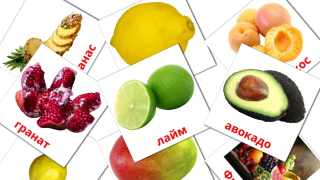 1300+ FREE Russian Flashcards | PDF | Picture Vocabulary