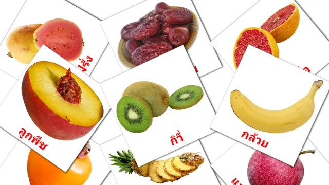 1300+ FREE Thai Flashcards | PDF | Picture Vocabulary