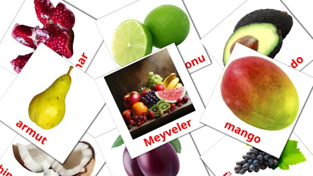 1300+ FREE Turkish Flashcards | PDF | Picture Vocabulary