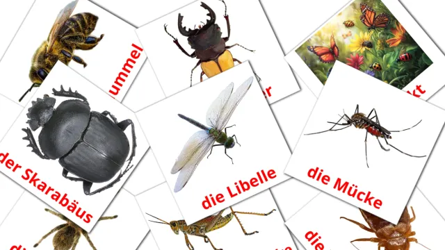 23 Tarjetas de Aprendizaje de Insectos GRATIS en PDF | Imágenes en Español