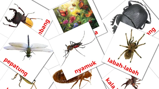 1300+ FREE Malay Flashcards | PDF | Picture Vocabulary