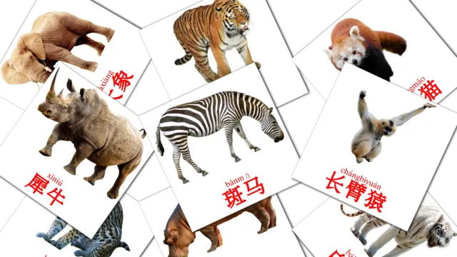 10 FREE Domestic animals Flashcards | PDF | Chinese(Simplified) Words