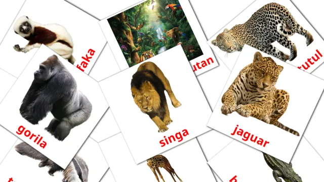 1300+ FREE Indonesian Flashcards | PDF | Picture Vocabulary