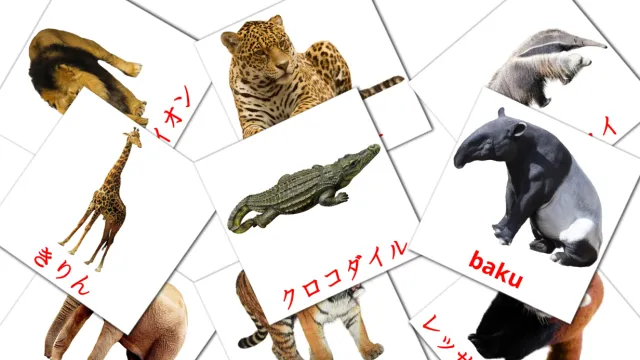 1300+ FREE Japanese Flashcards | PDF | Picture Vocabulary