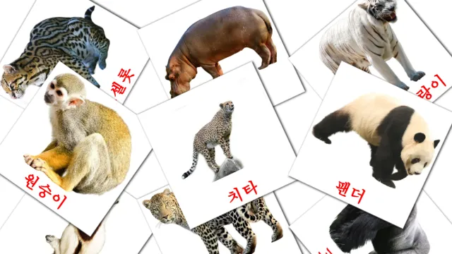 1300+ FREE Korean Flashcards | PDF | Picture Vocabulary