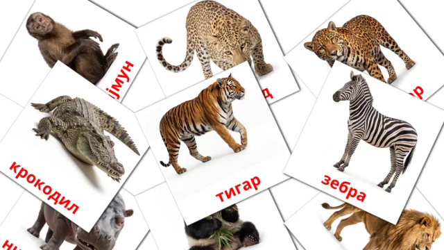 15 FREE Farm animals Flashcards in 4 PDF formats | Macedonian Pictures