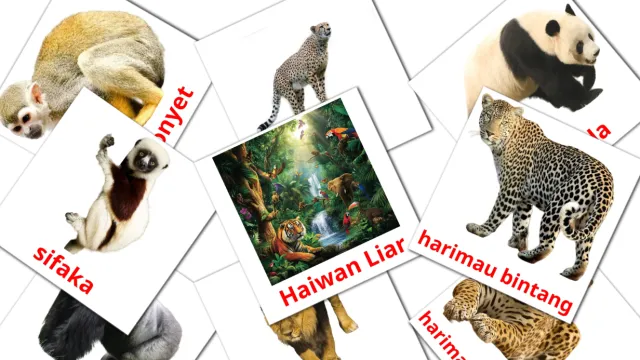 1300+ FREE Malay Flashcards | PDF | Picture Vocabulary