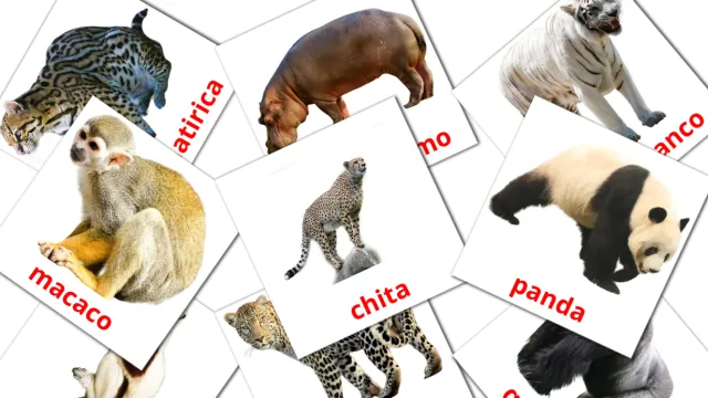 1300+ FREE Portuguese Flashcards | PDF | Picture Vocabulary