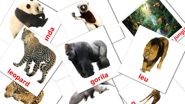 1300+ FREE Romanian Flashcards | PDF | Picture Vocabulary