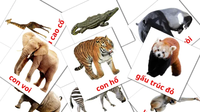 10 FREE Domestic animals Flashcards in PDF | Vietnamese Pictures