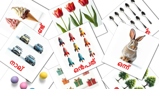 1300+ FREE Malayalam Flashcards | PDF | Picture Vocabulary