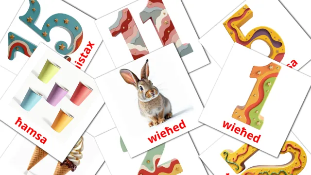 1300+ FREE Maltese Flashcards | PDF | Picture Vocabulary