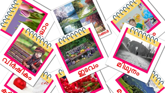 12 FREE Days of Week Flashcards | PDF | Malayalam Words